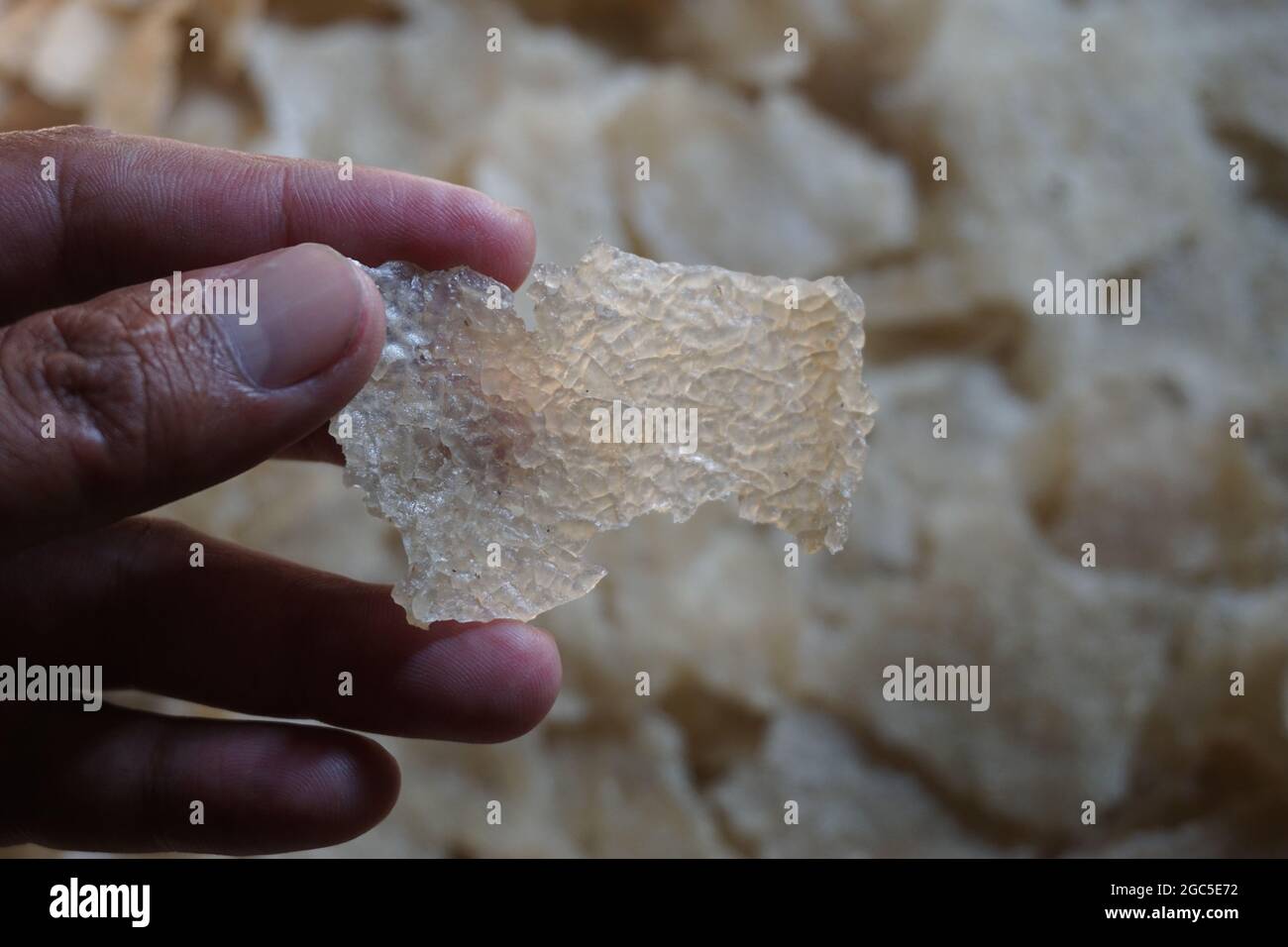 Raw kerupuk gendar (puli, kerupuk beras, Lempeng Puli) with a natural ...