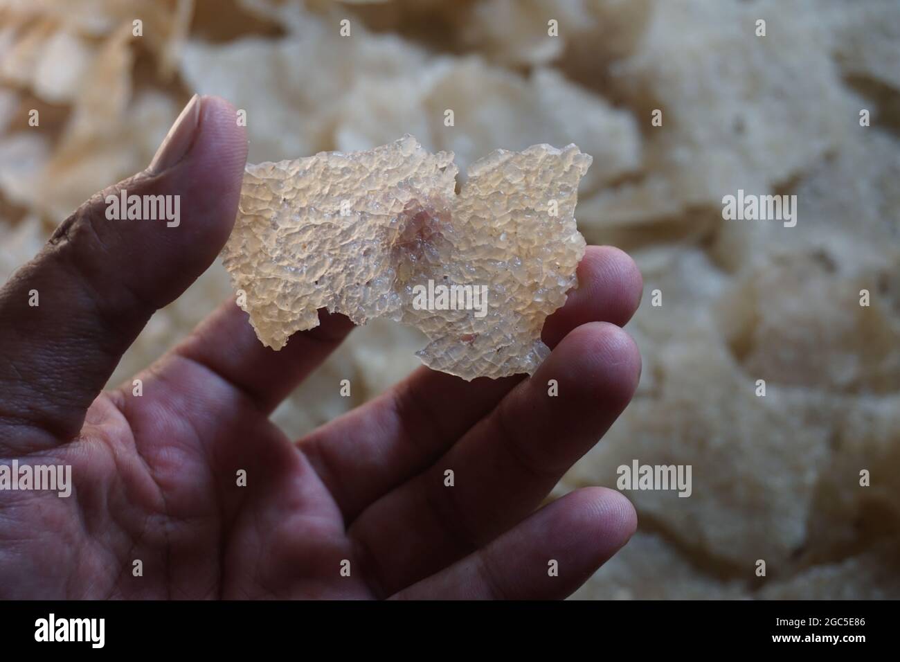 Raw kerupuk gendar (puli, kerupuk beras, Lempeng Puli) with a natural ...