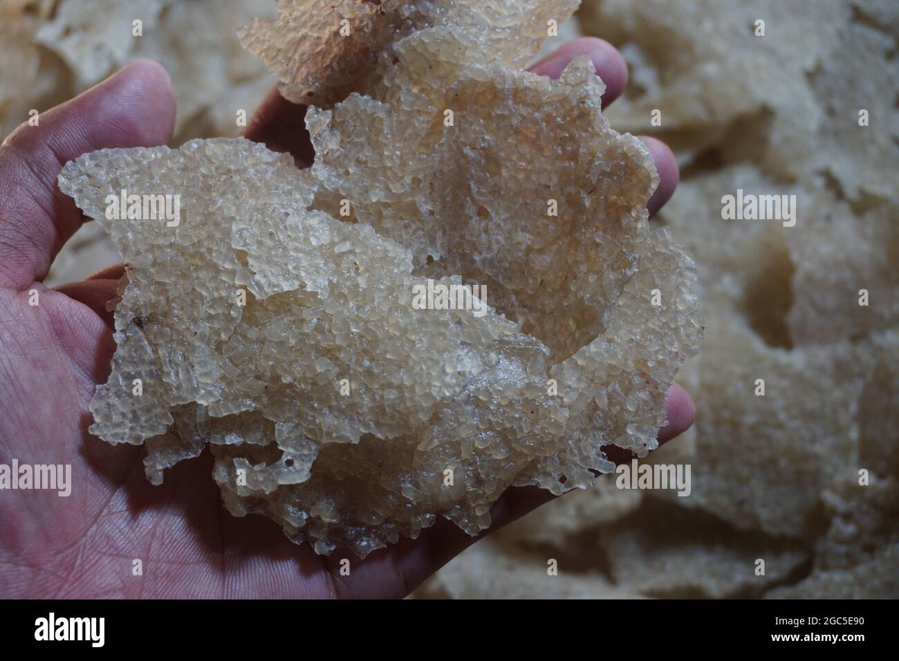 Raw kerupuk gendar (puli, kerupuk beras, Lempeng Puli) with a natural ...