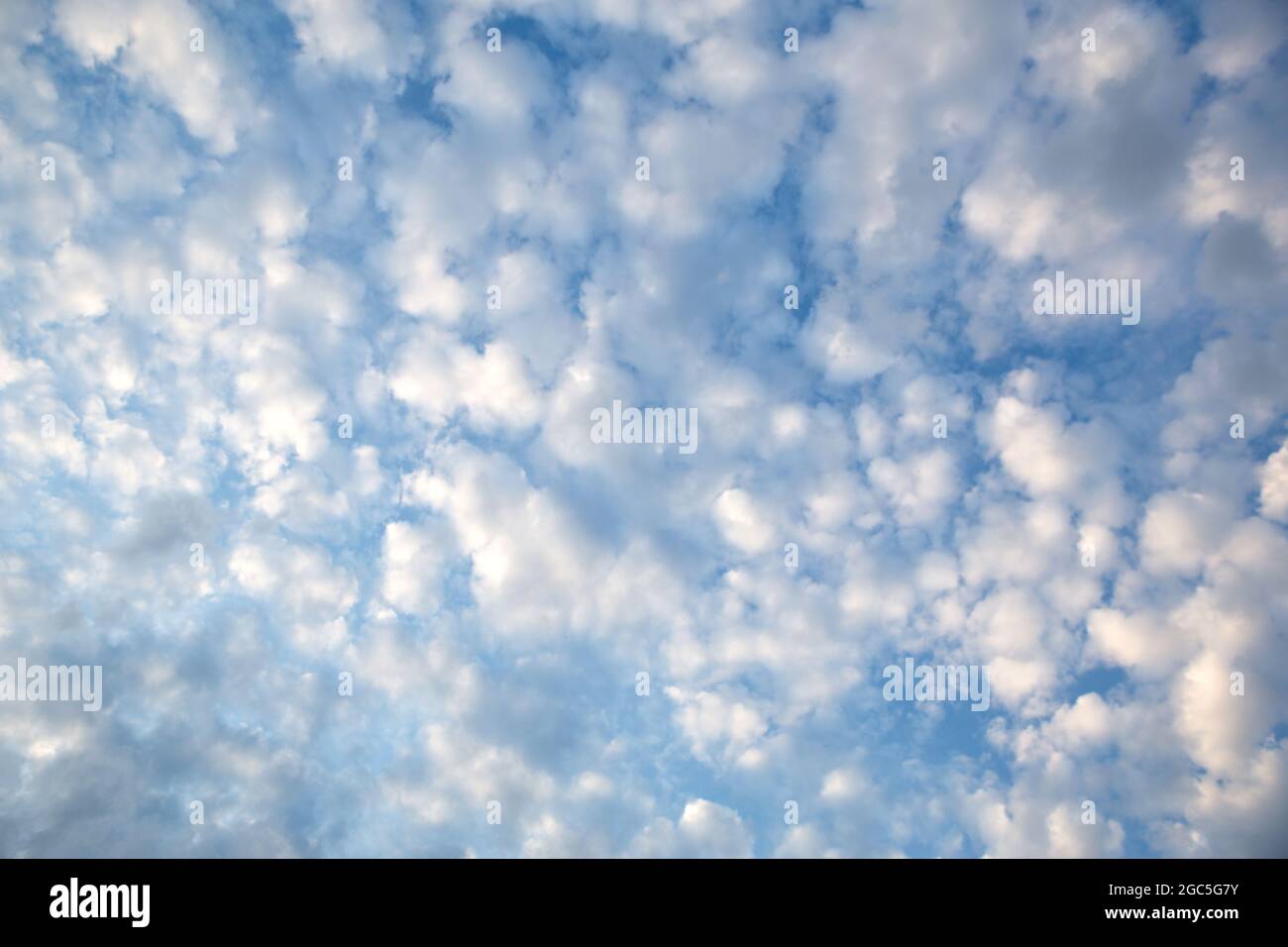 White cumulus clouds in a blue sky. Backgrounds with a pattern of high ...