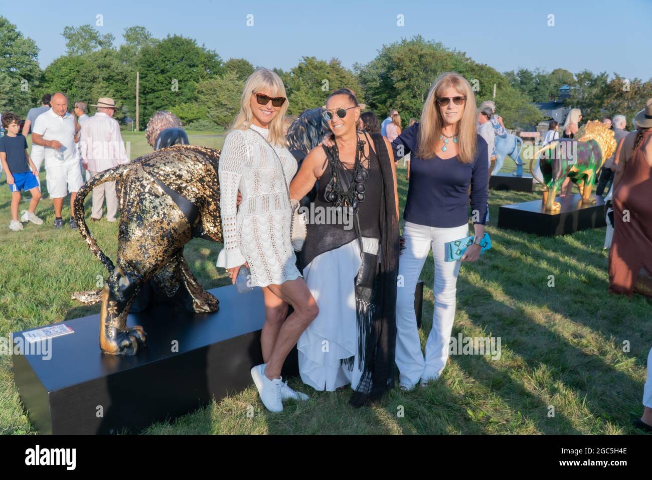 Christie Brinkley, Donna Karan and Jill Rappaport attend The Tusk Lion ...