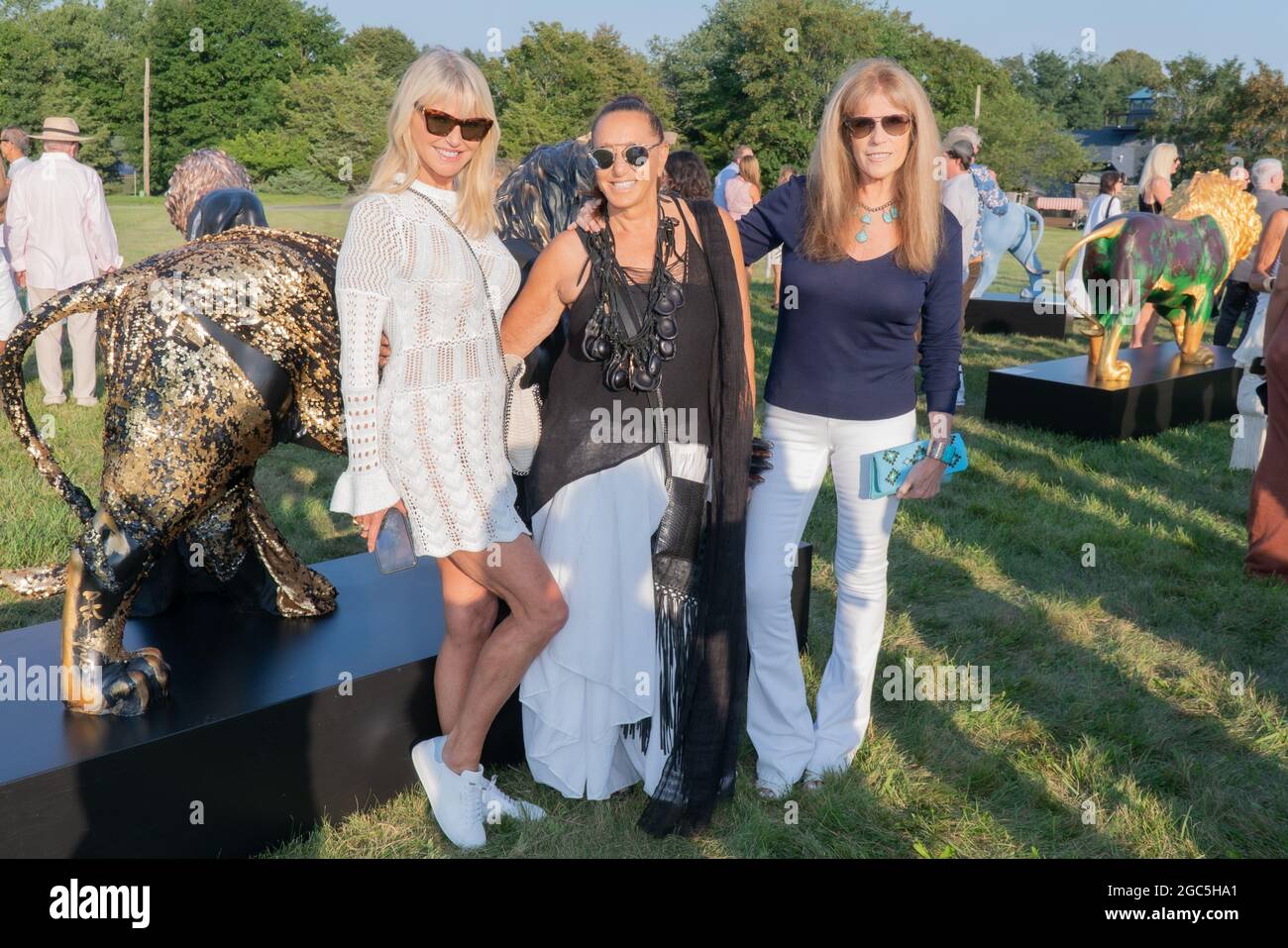 Christie Brinkley, Donna Karan and Jill Rappaport attend The Tusk Lion ...