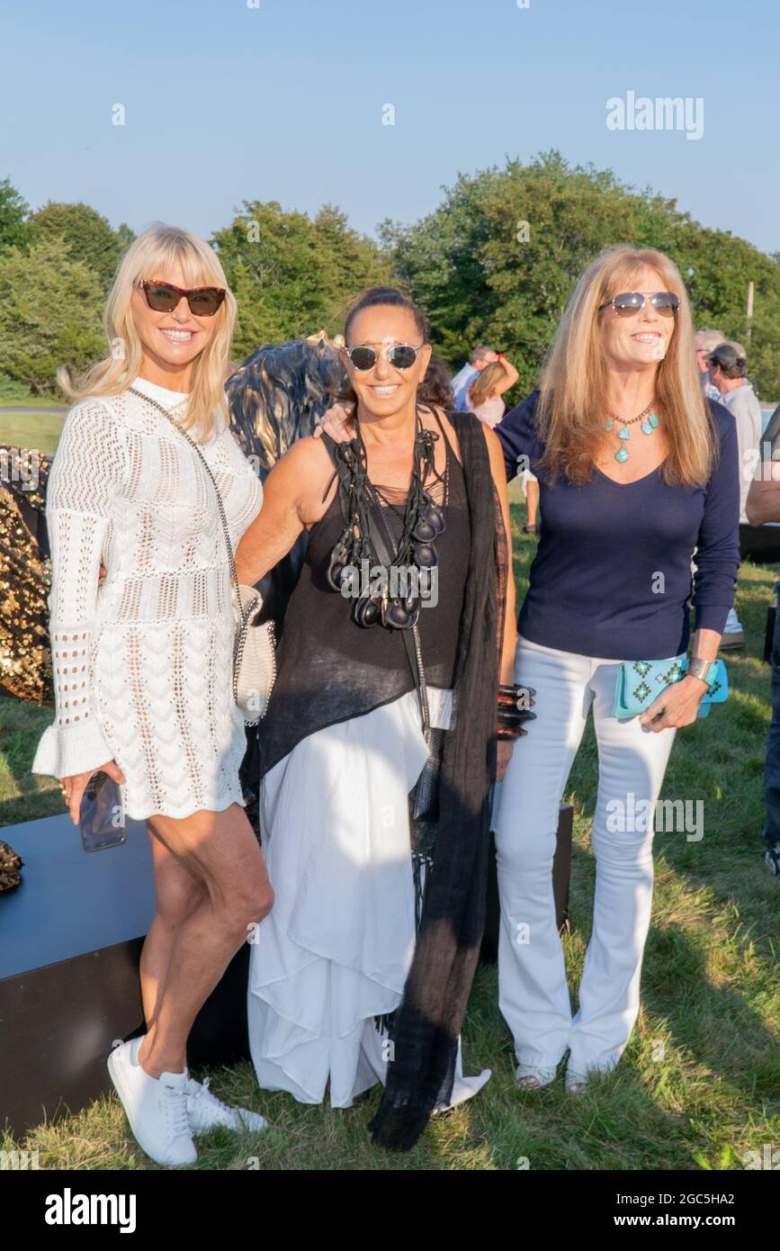 Christie Brinkley, Donna Karan and Jill Rappaport attend The Tusk Lion ...