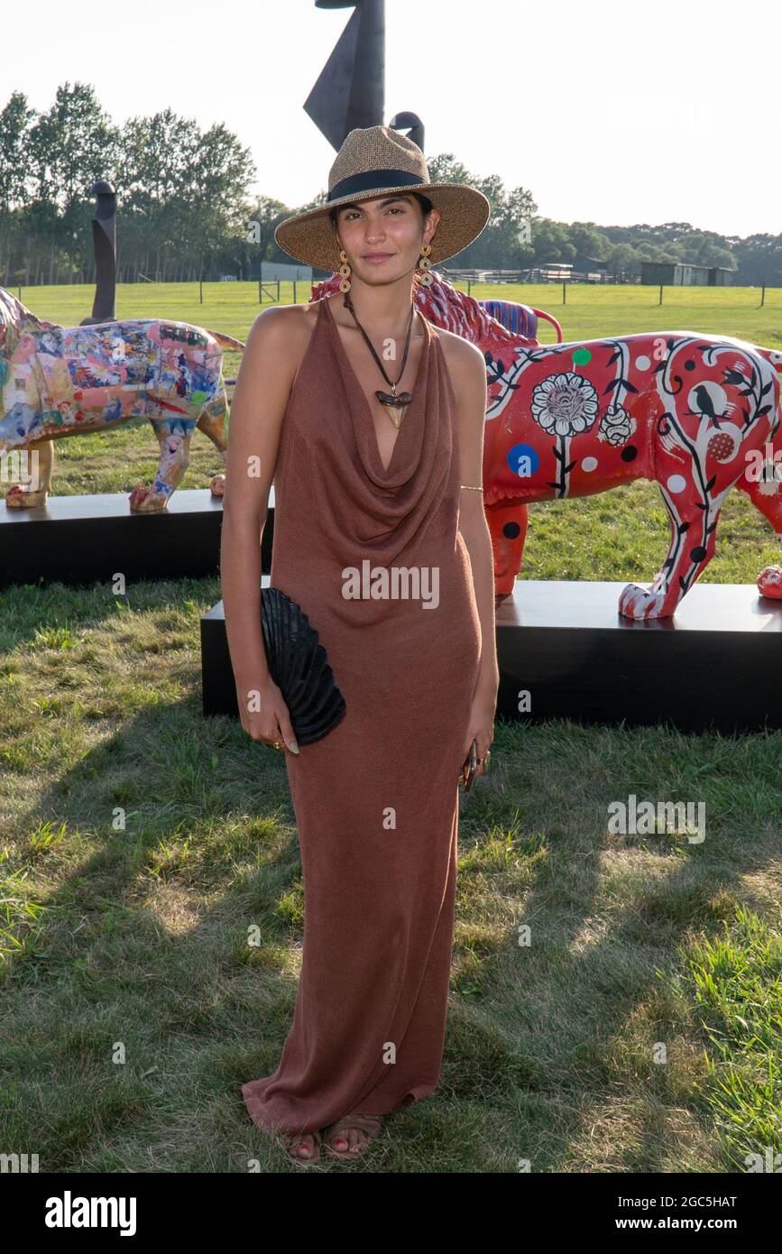 Tusk lion trail hi-res stock photography and images - Alamy