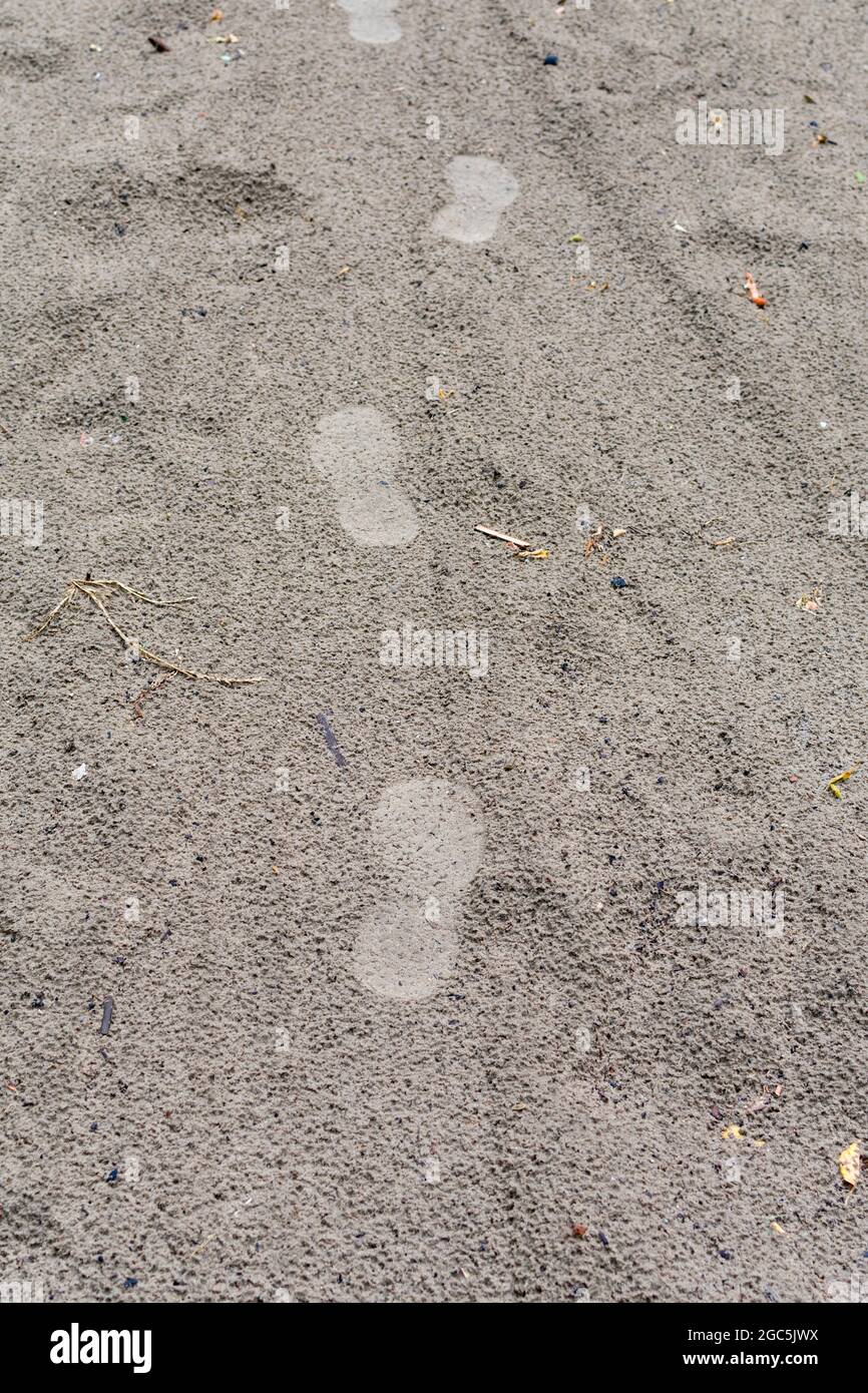 Multiple footprints on wet sand after rain. Footprints in the wet sand ...