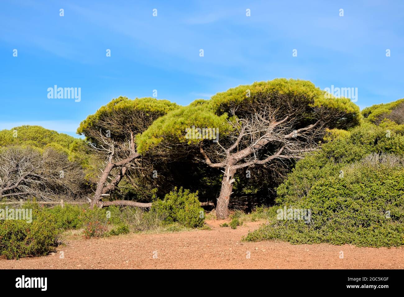 Discover algarve hi-res stock photography and images - Alamy