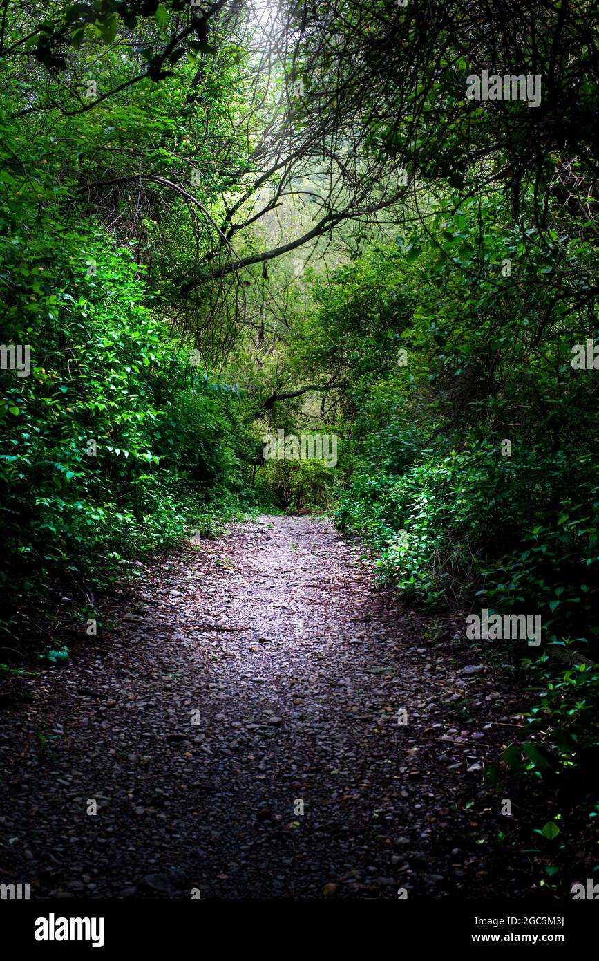 Life is better with trees Stock Photo - Alamy