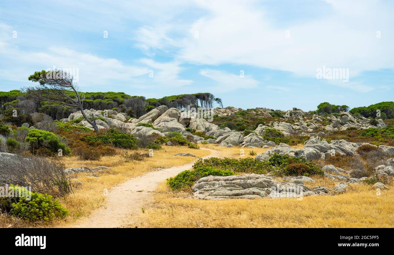 (Selective focus) Stunning landscape with a trail leading to Cala ...