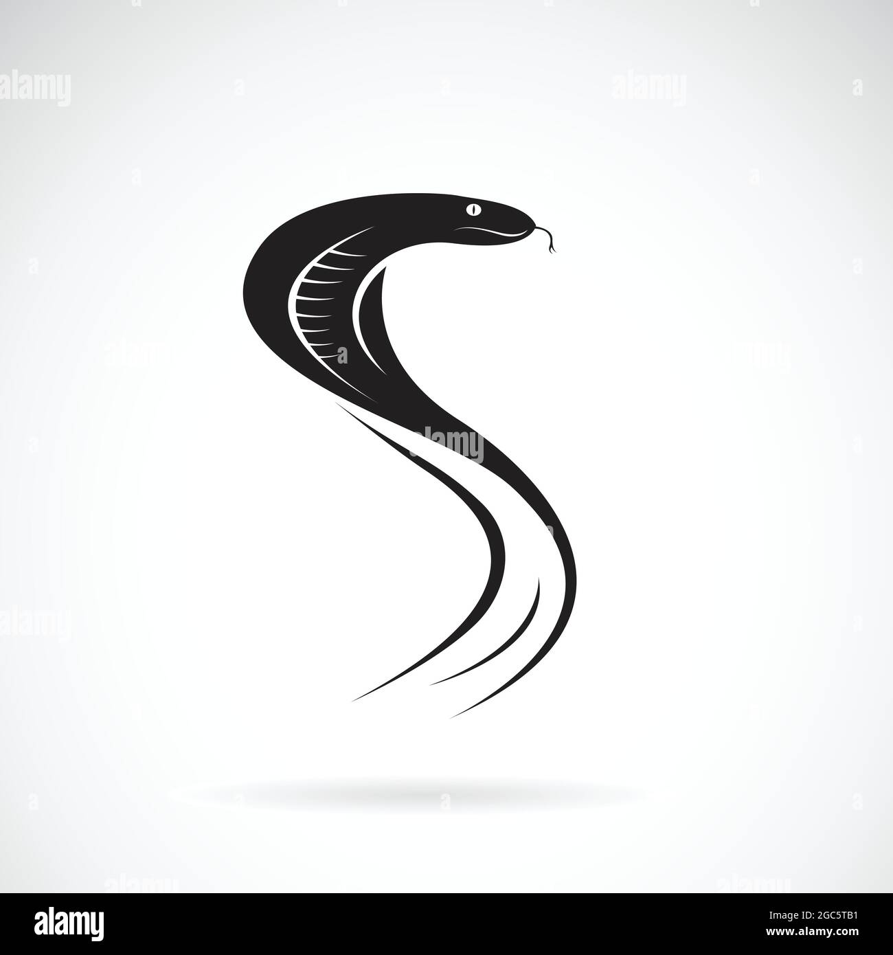 Snake Logo Design