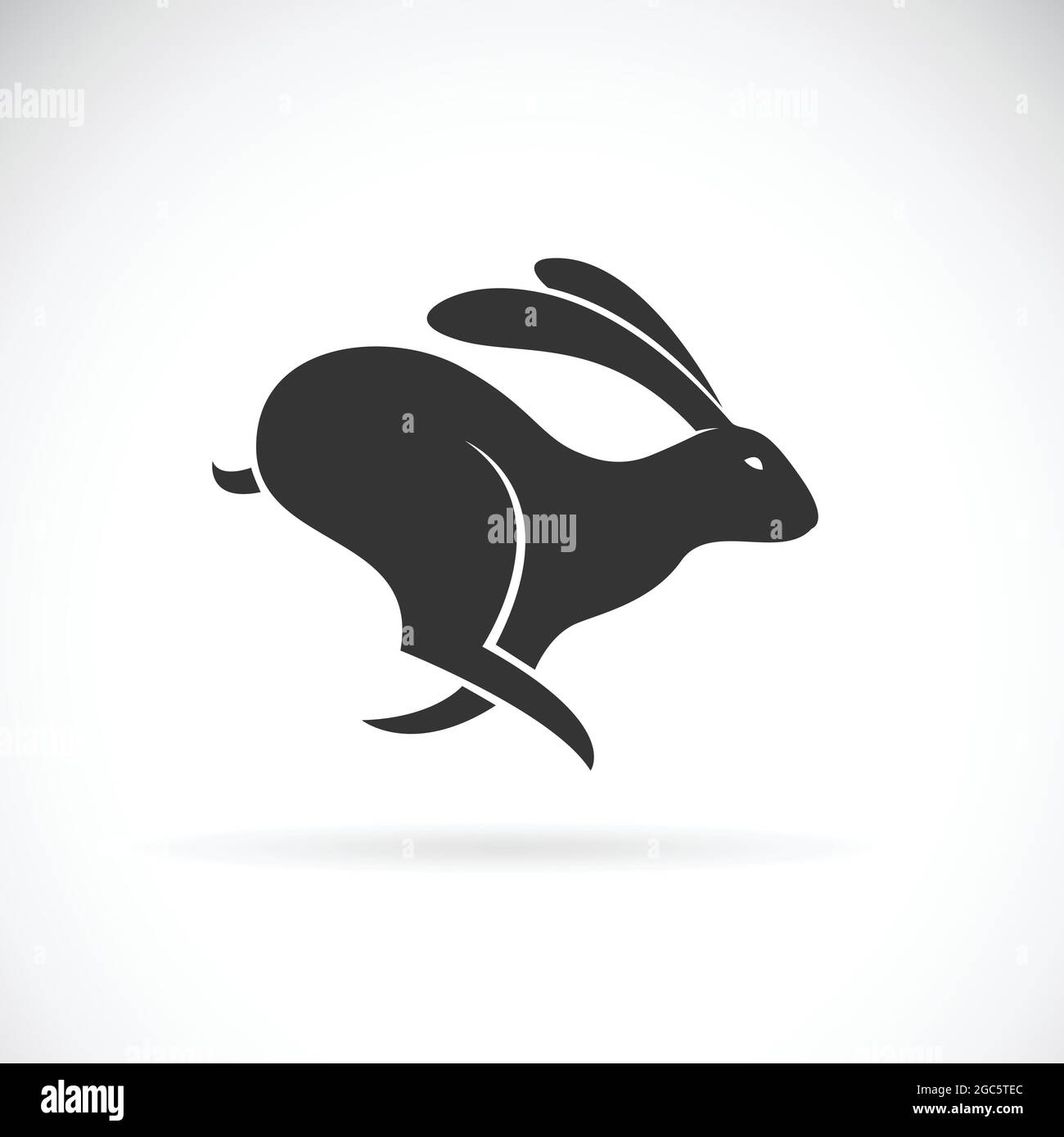 Vector of black rabbit is running on white background. Wild Animals ...