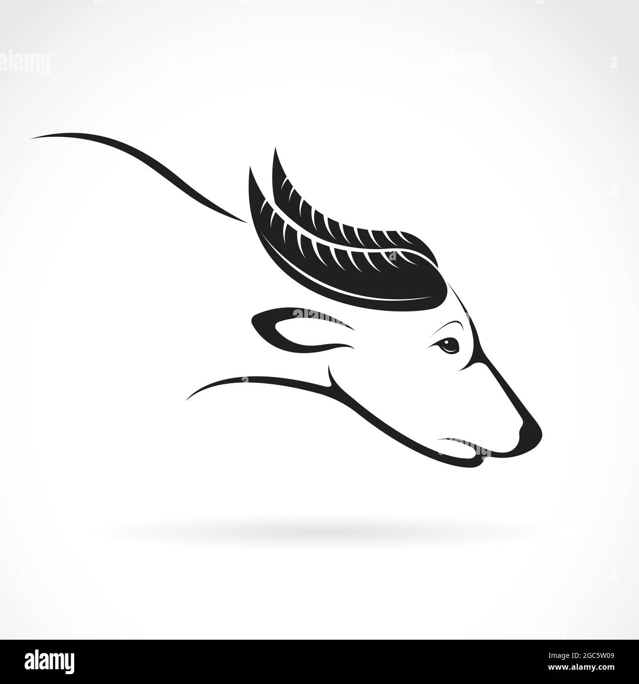 Vector image of a buffalo design on white background. Vector buffalo ...