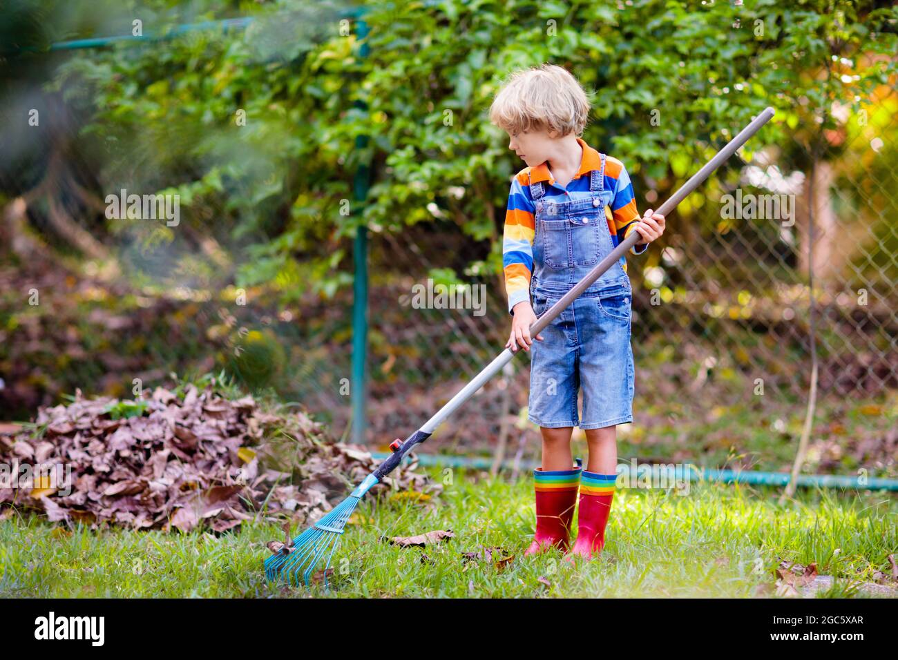 Kids Raking Leaves
