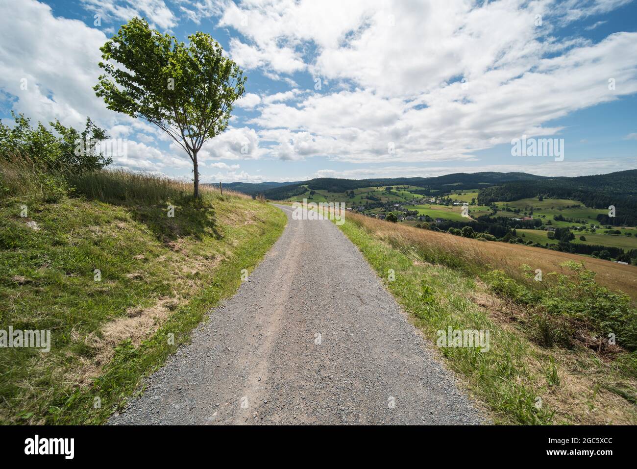 nature landscape in summer in southern germany near bernau in the black ...