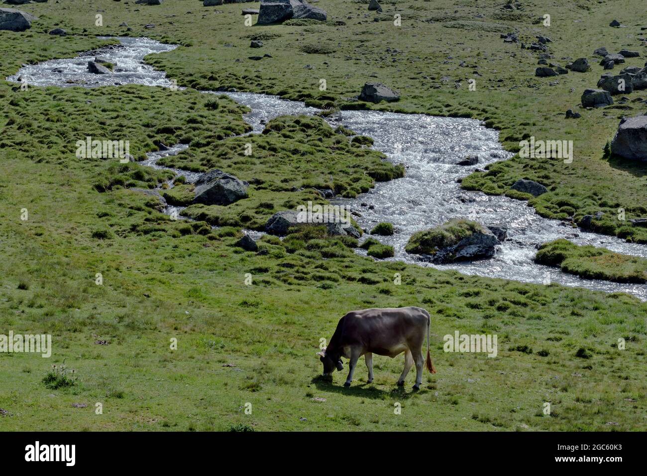 High pastures hi-res stock photography and images - Alamy
