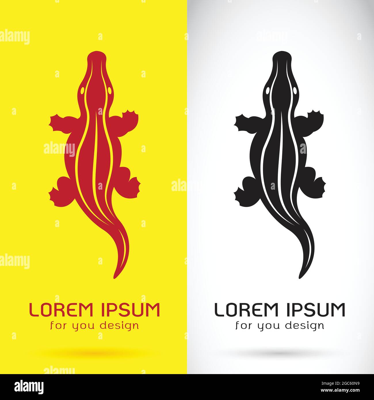 Vector image of a crocodile design on white background and yellow ...