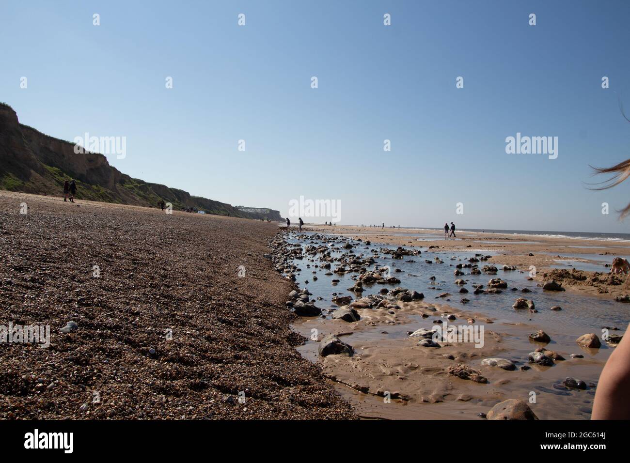 Beautiful ponds hi-res stock photography and images - Alamy