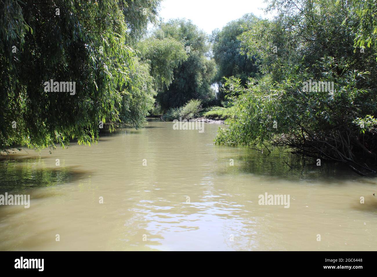 the danube delta, in Roumania,a protected area, with wild landscapes ...