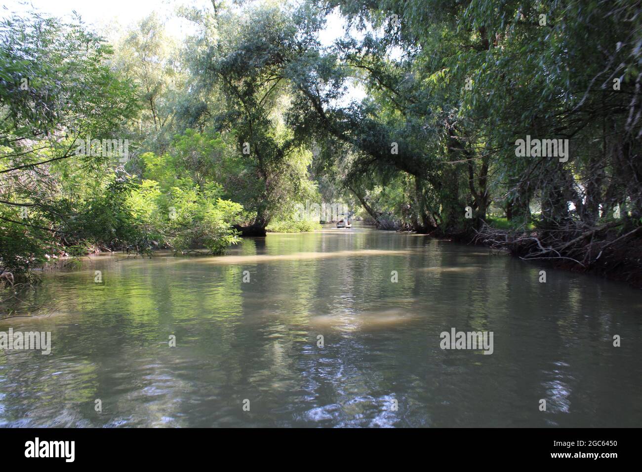 the danube delta, in Roumania,a protected area, with wild landscapes ...