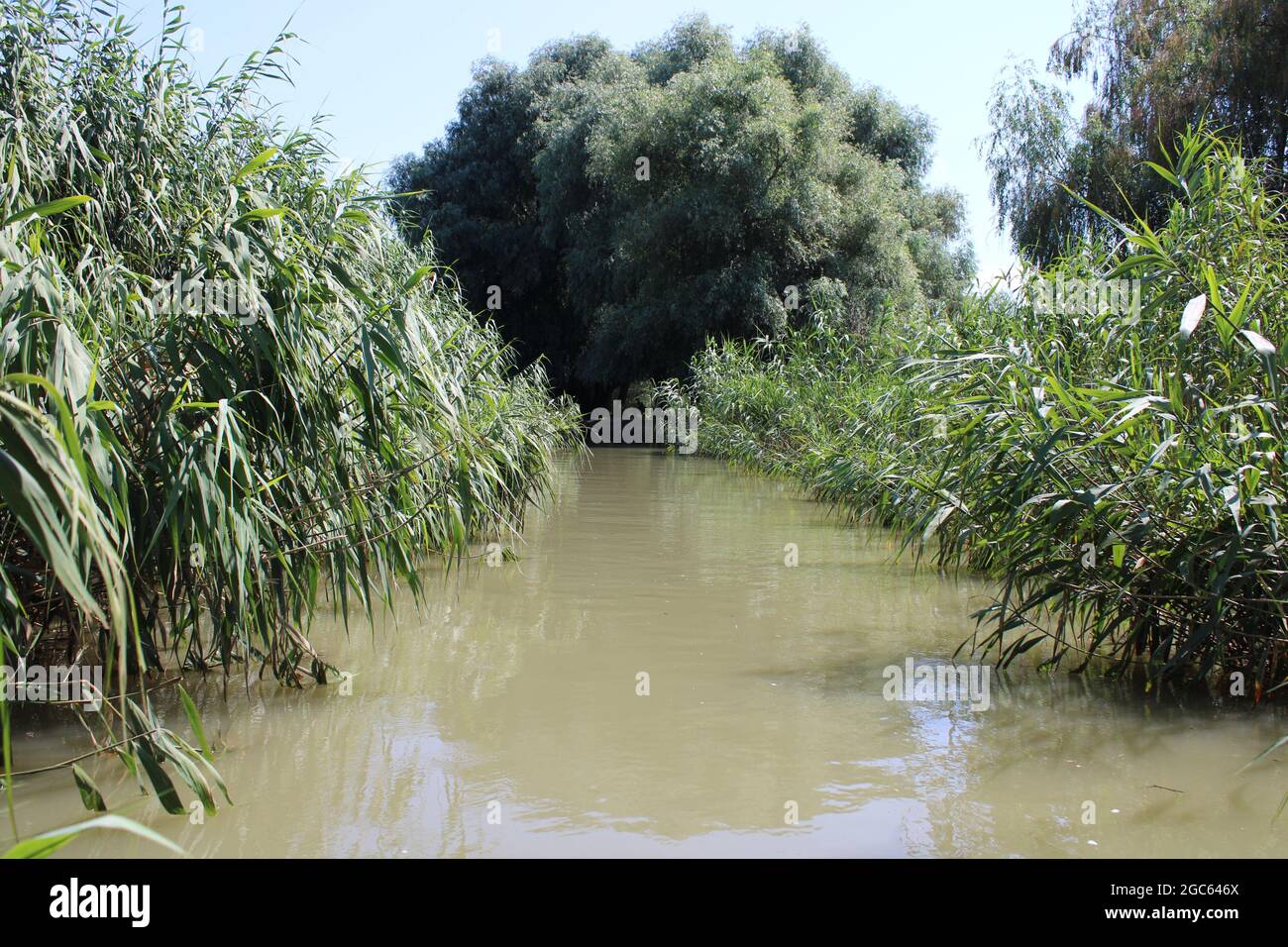 the danube delta, in Roumania,a protected area, with wild landscapes ...