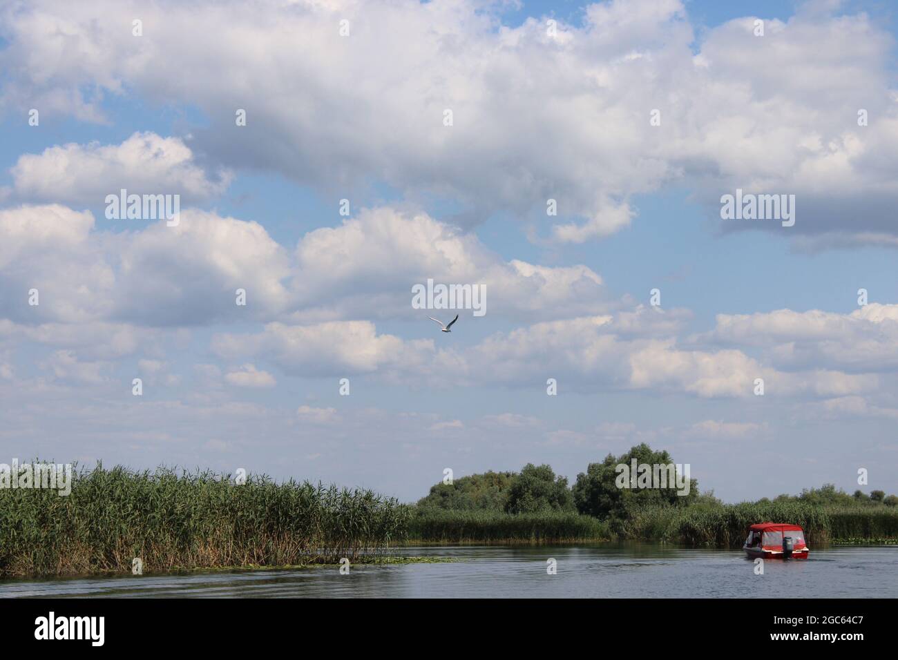 the danube delta, in Roumania,a protected area, with wild landscapes ...