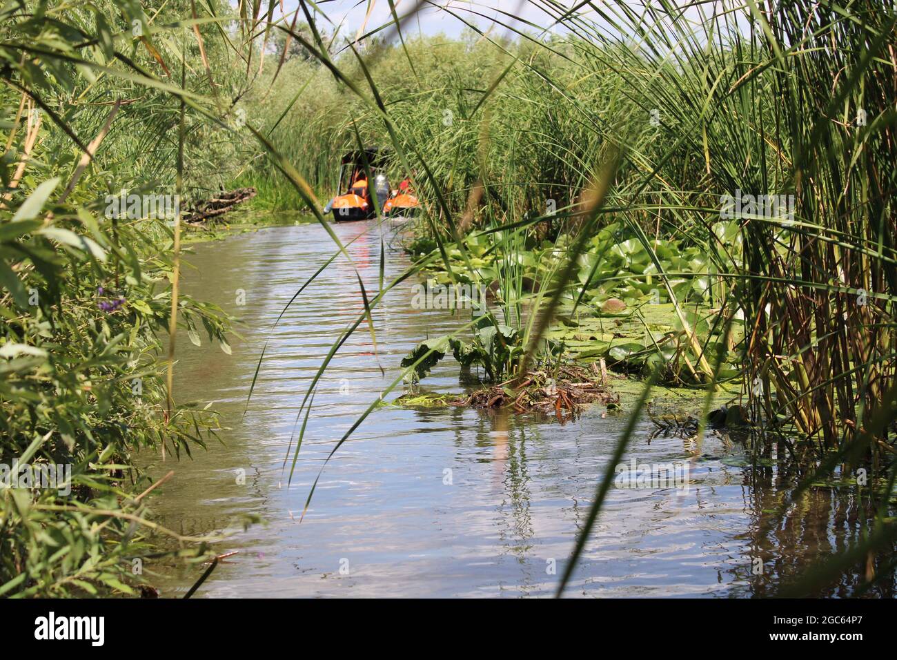 the danube delta, in Roumania,a protected area, with wild landscapes ...