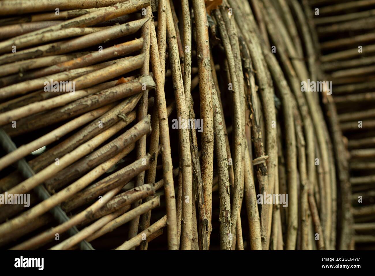 Dry wood texture. Wicker basket branches. Intertwined dry stems of a ...