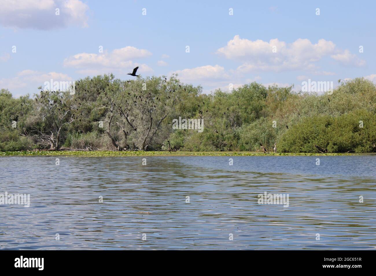 the danube delta, in Roumania,a protected area, with wild landscapes ...