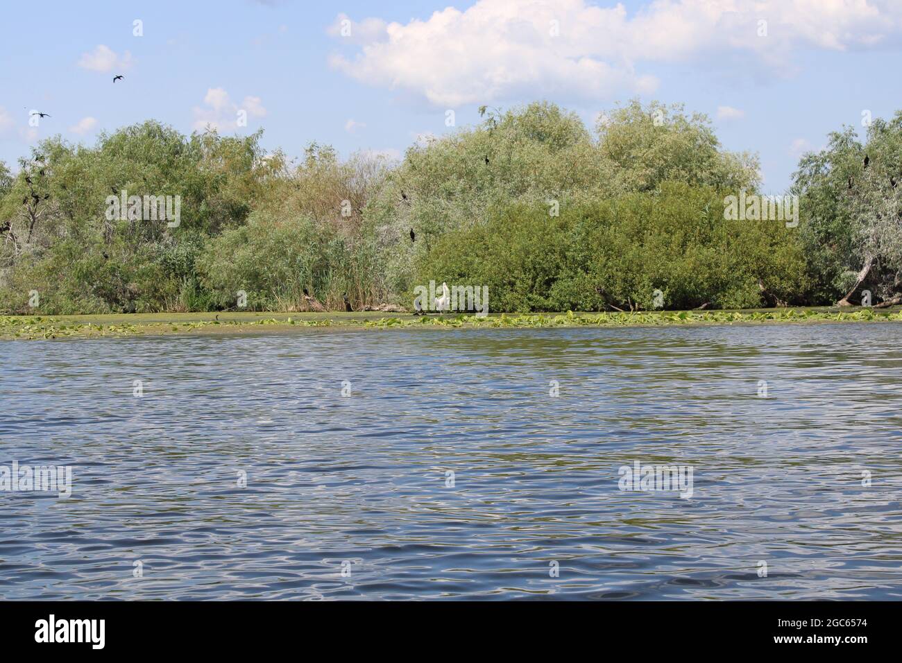 the danube delta, in Roumania,a protected area, with wild landscapes ...