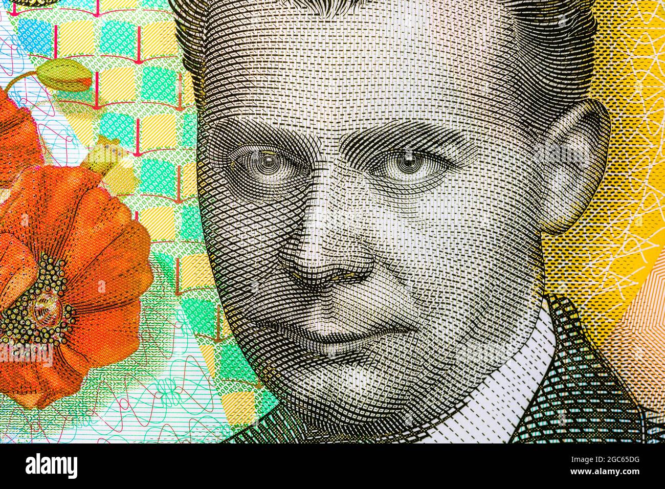 200 lei banknotes hi-res stock photography and images - Alamy