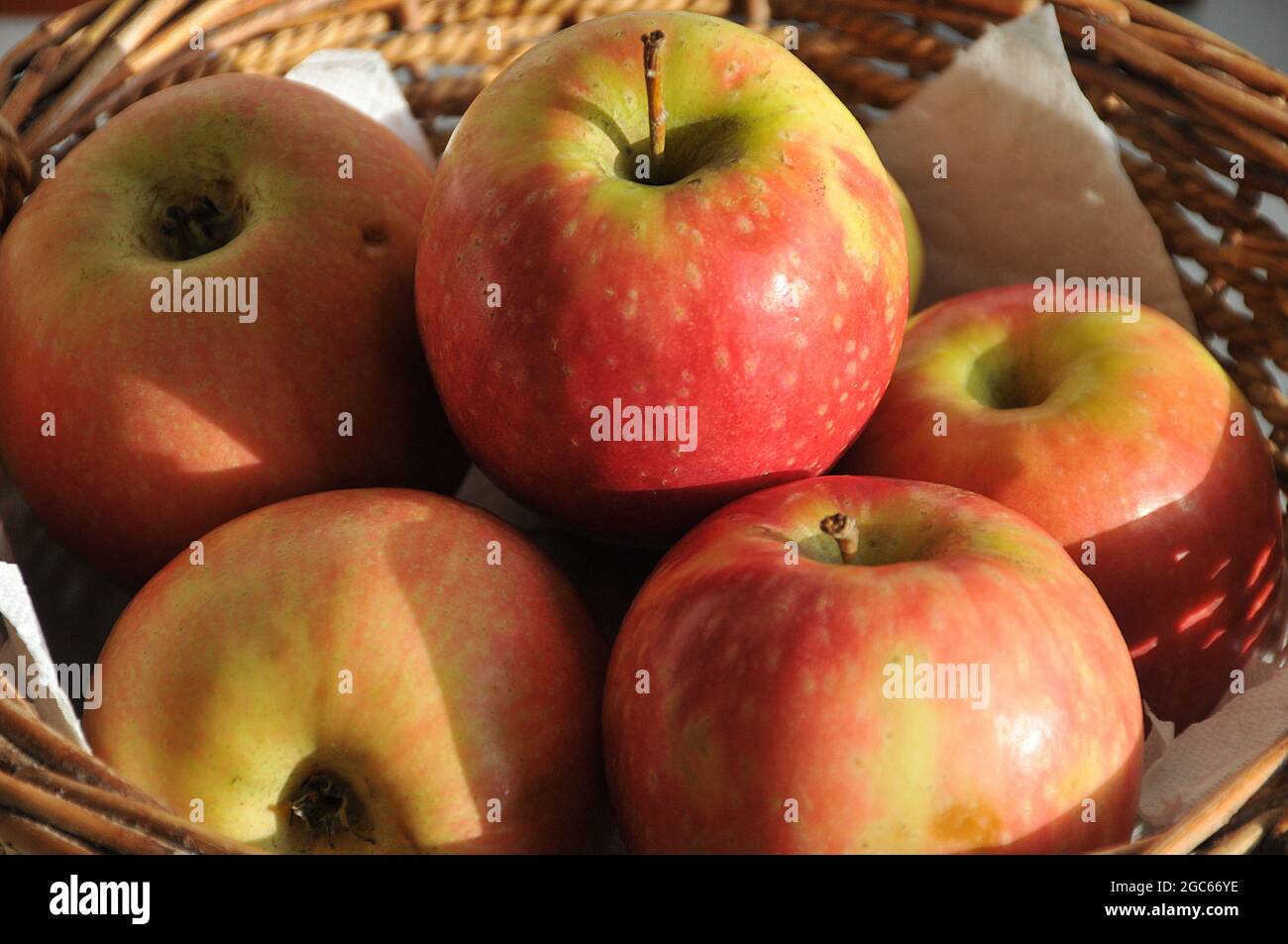 Copenhagen Denmark./07.April 2020 /Imported apples pink lady aples ...