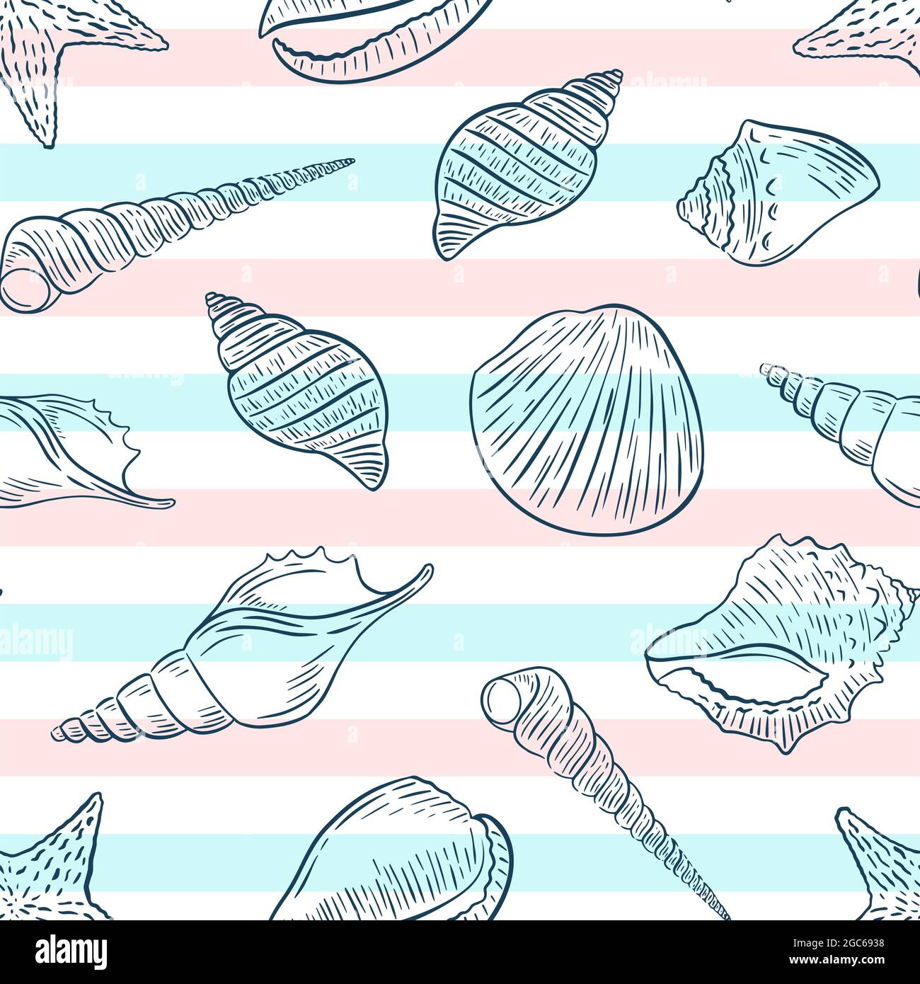 Seashell Template