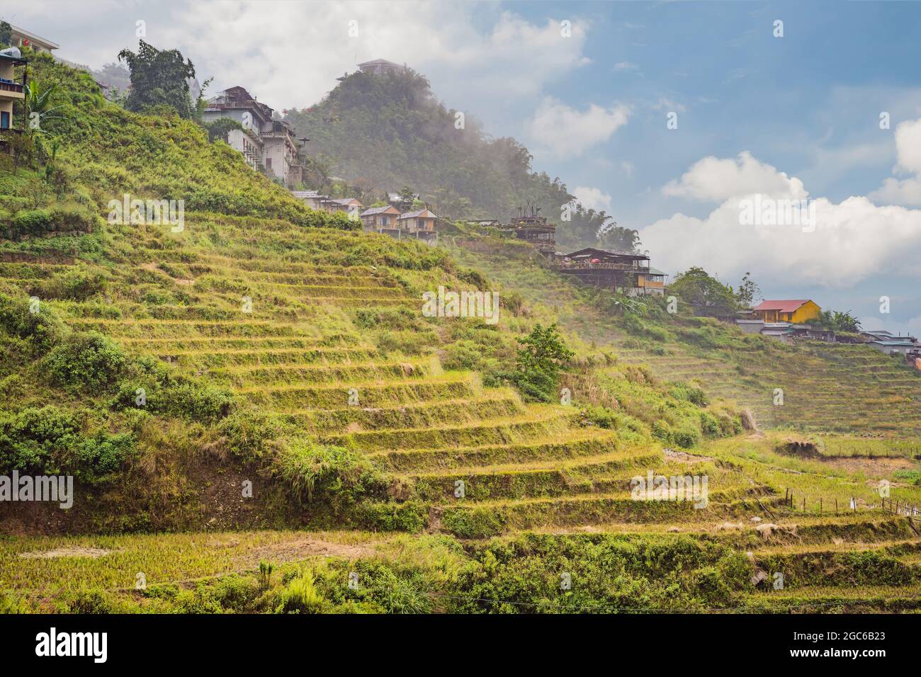 Rice terraces in the fog in Sapa, Vietnam. Rice fields prepare the ...