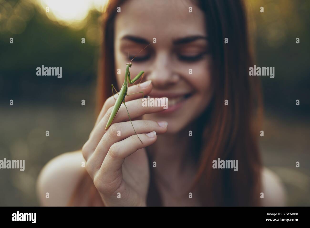 Mantis insect in hand green hi-res stock photography and images - Alamy