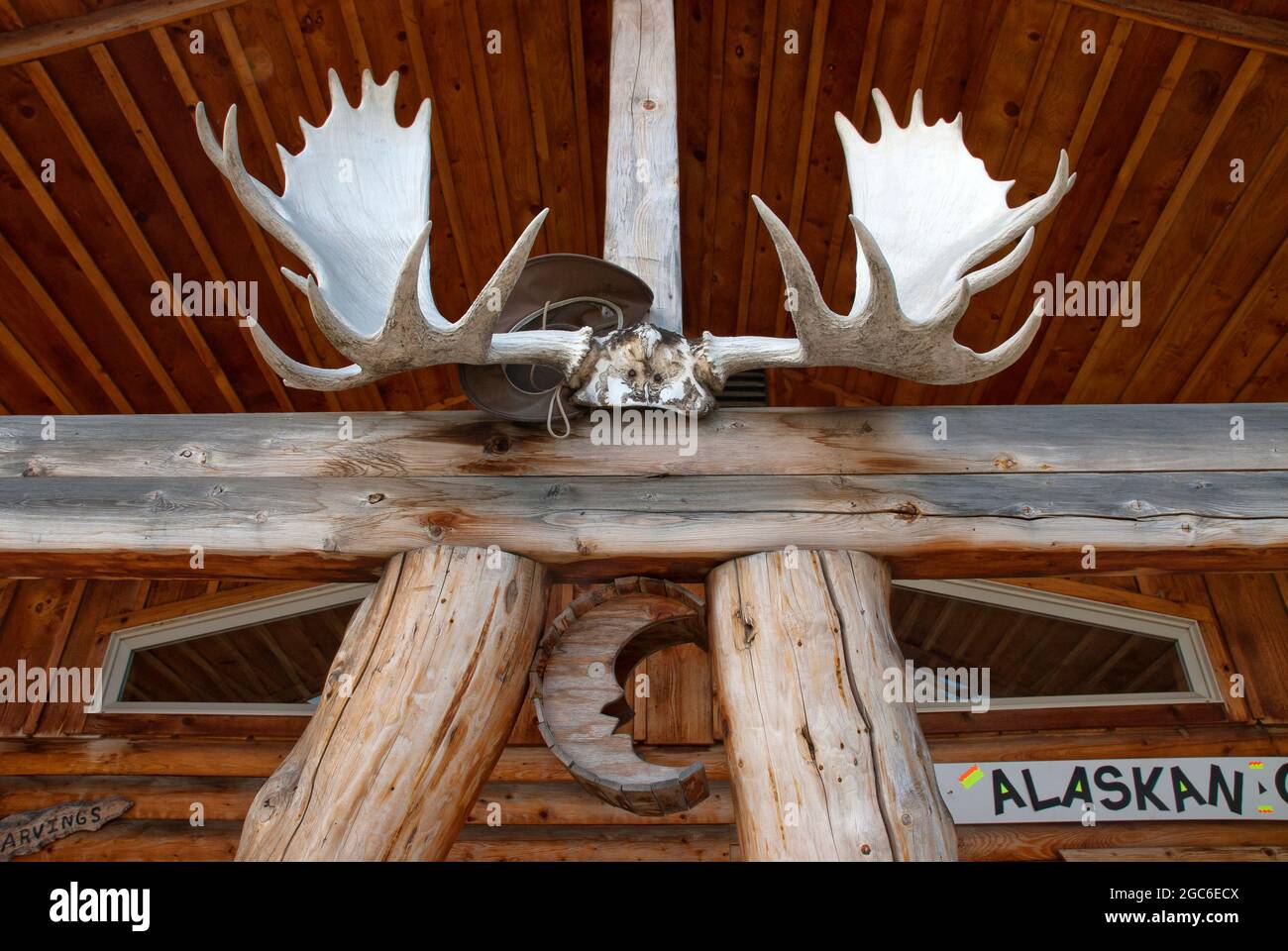 Moose rack hi-res stock photography and images - Alamy