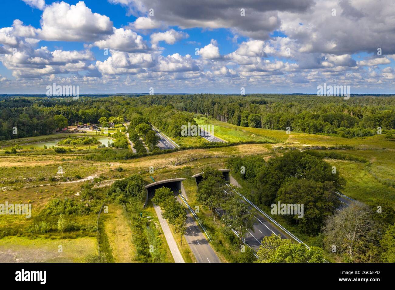 Dwingelderveld national park hi-res stock photography and images - Alamy