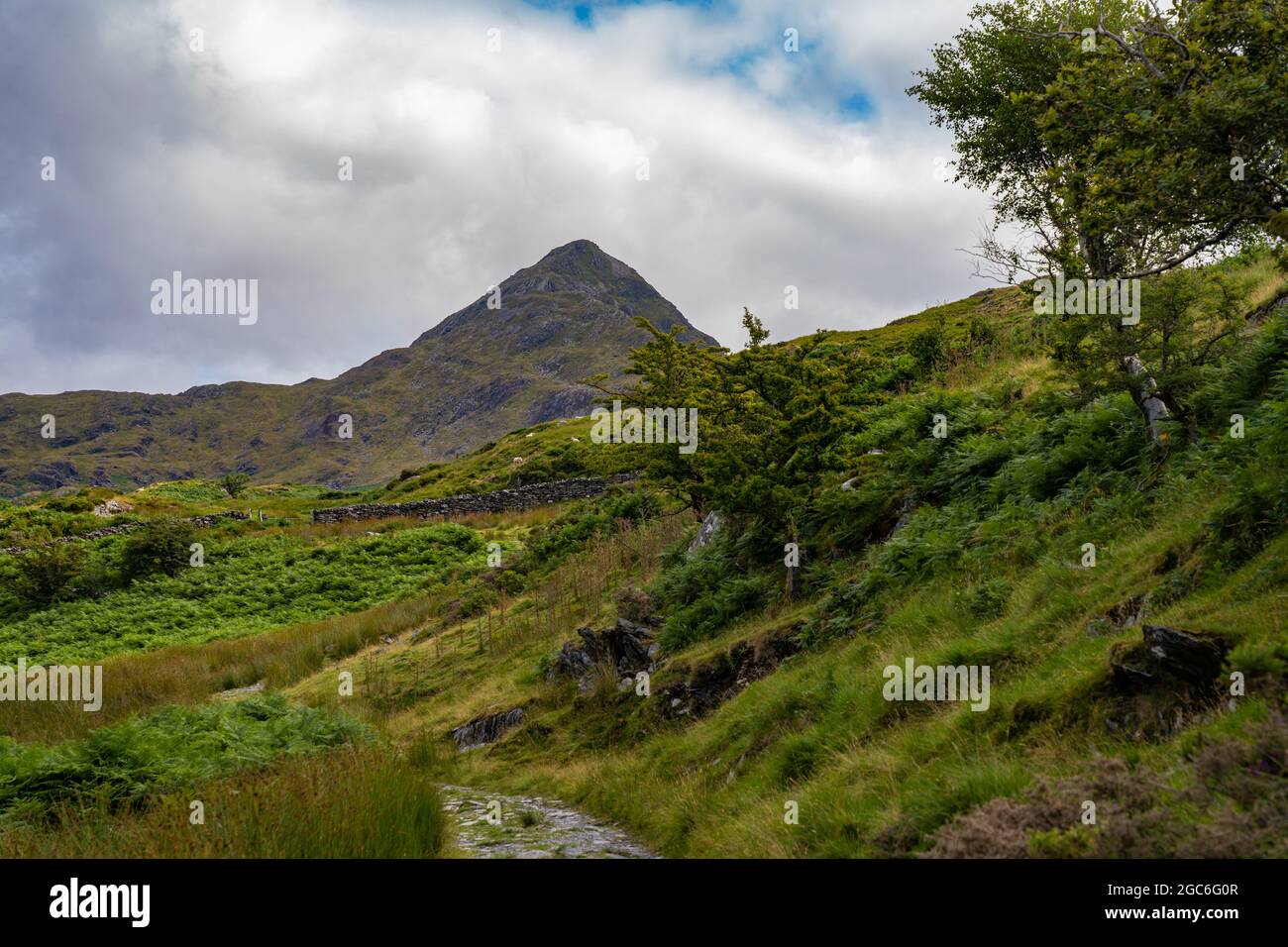 Mount Cnicht in the walk from Croesor Stock Photo - Alamy
