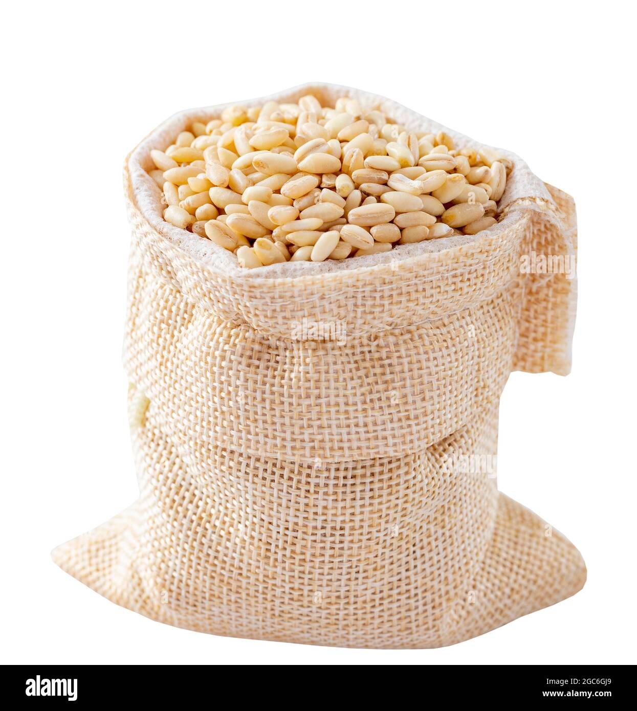 wheat grains in sack. wheat grains isolated on white background Stock ...