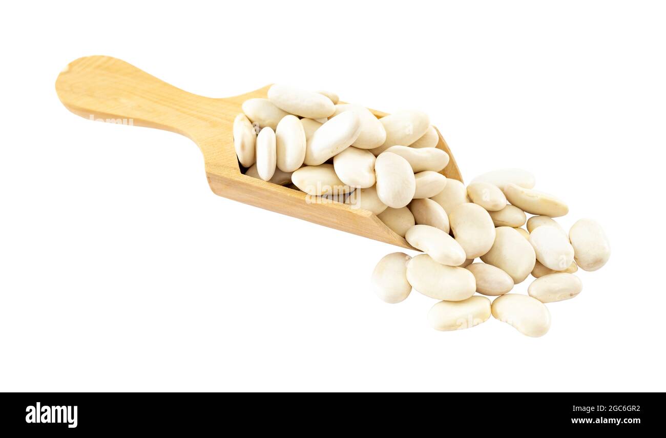 White Haricot bean grains in wooden spoon. White Haricot bean grains ...