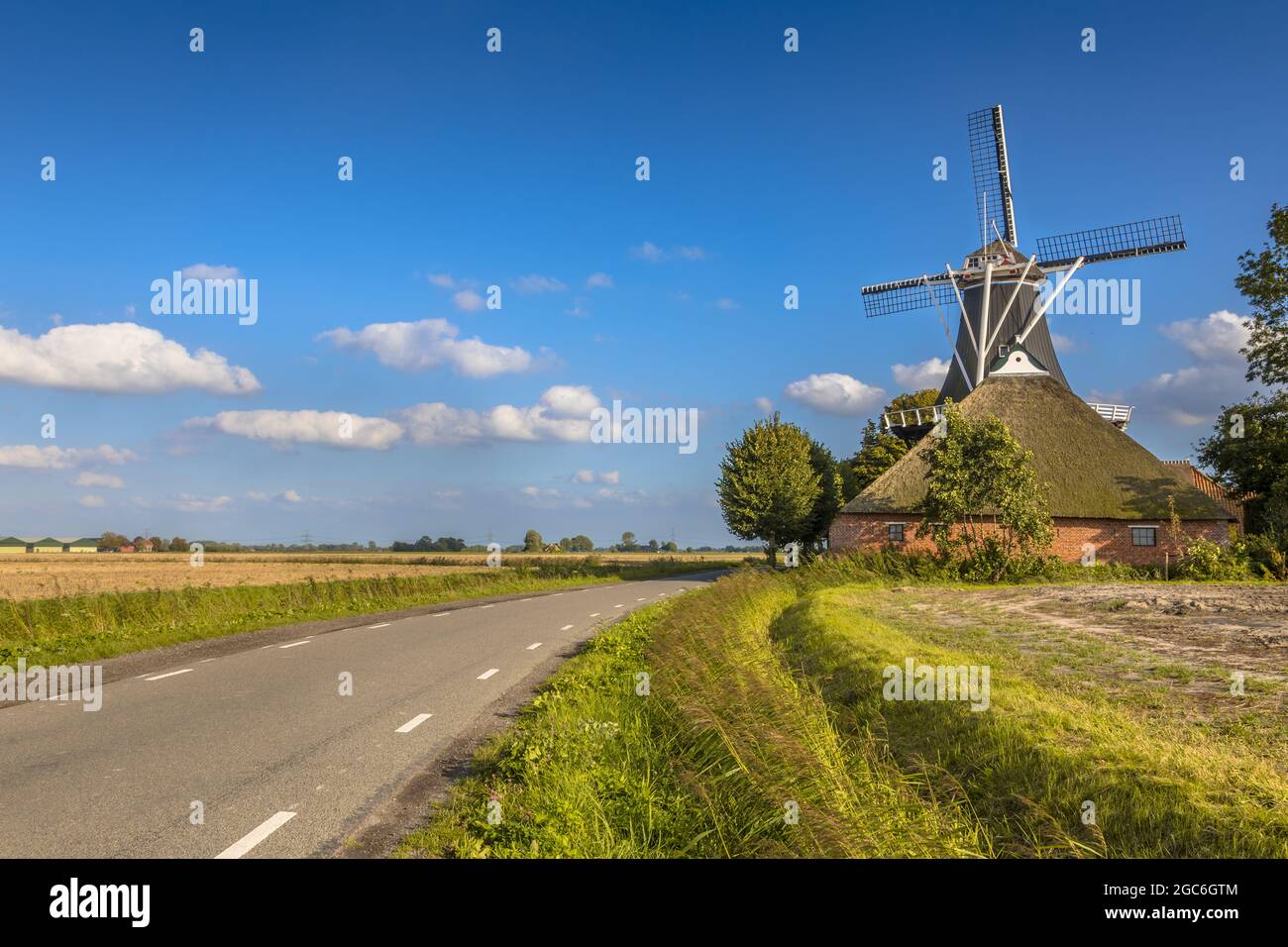 Typical dutch landscape with countryside road running along farm and ...