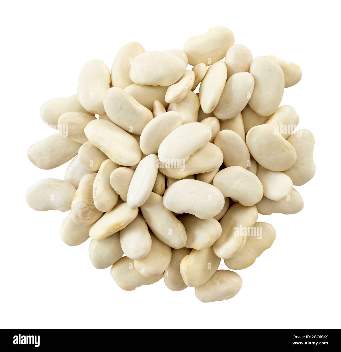 Raw Organic White Haricot bean on white background. Pile White Haricot ...