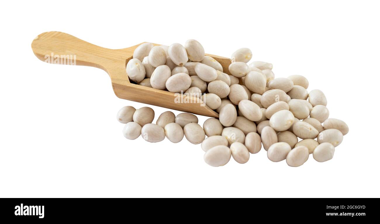 White Haricot bean grains in wooden spoon. White Haricot bean grains ...