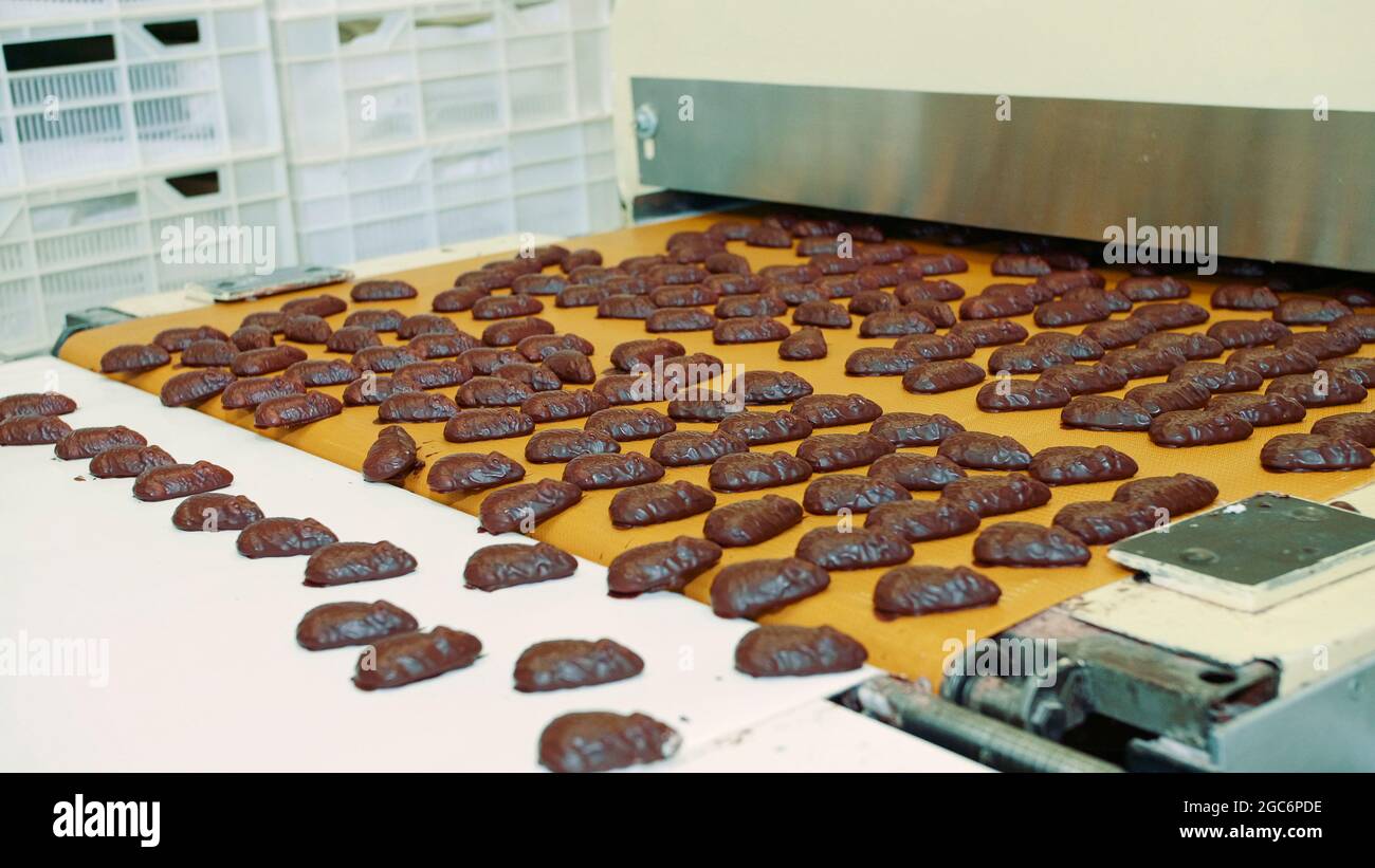 Candy factory. Chocolate candies lying on conveyor. Bunch of yummy ...