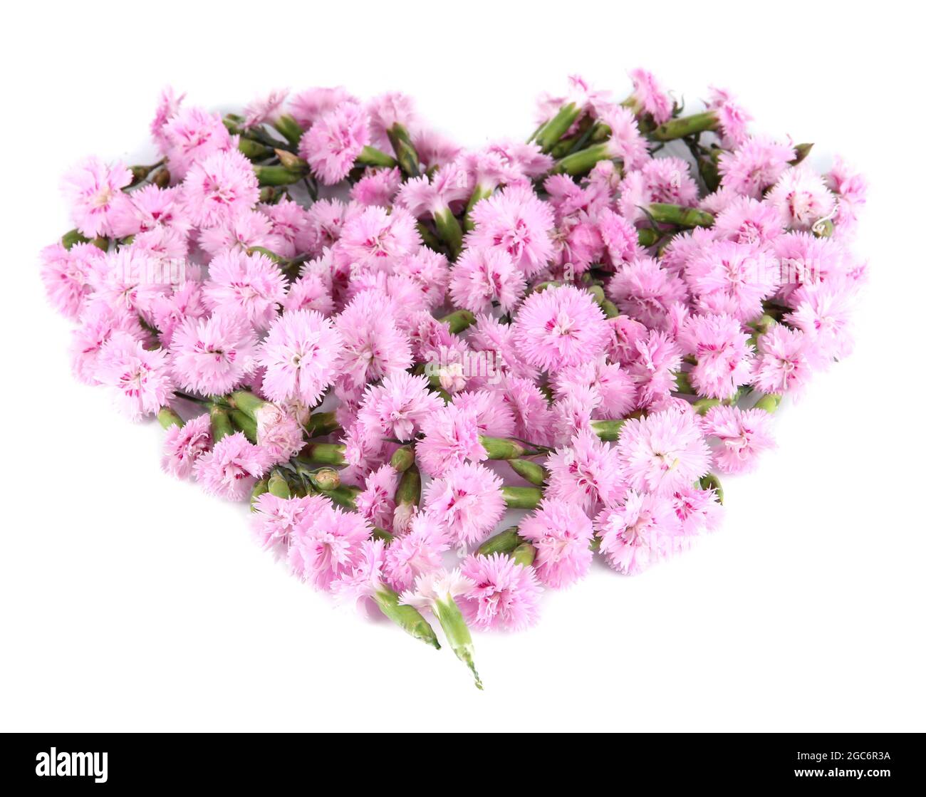 Heart of small pink cloves isolated on white Stock Photo - Alamy