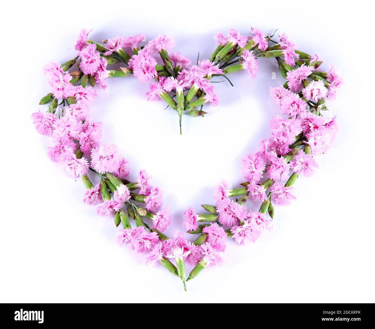 Heart of small pink cloves isolated on white Stock Photo - Alamy