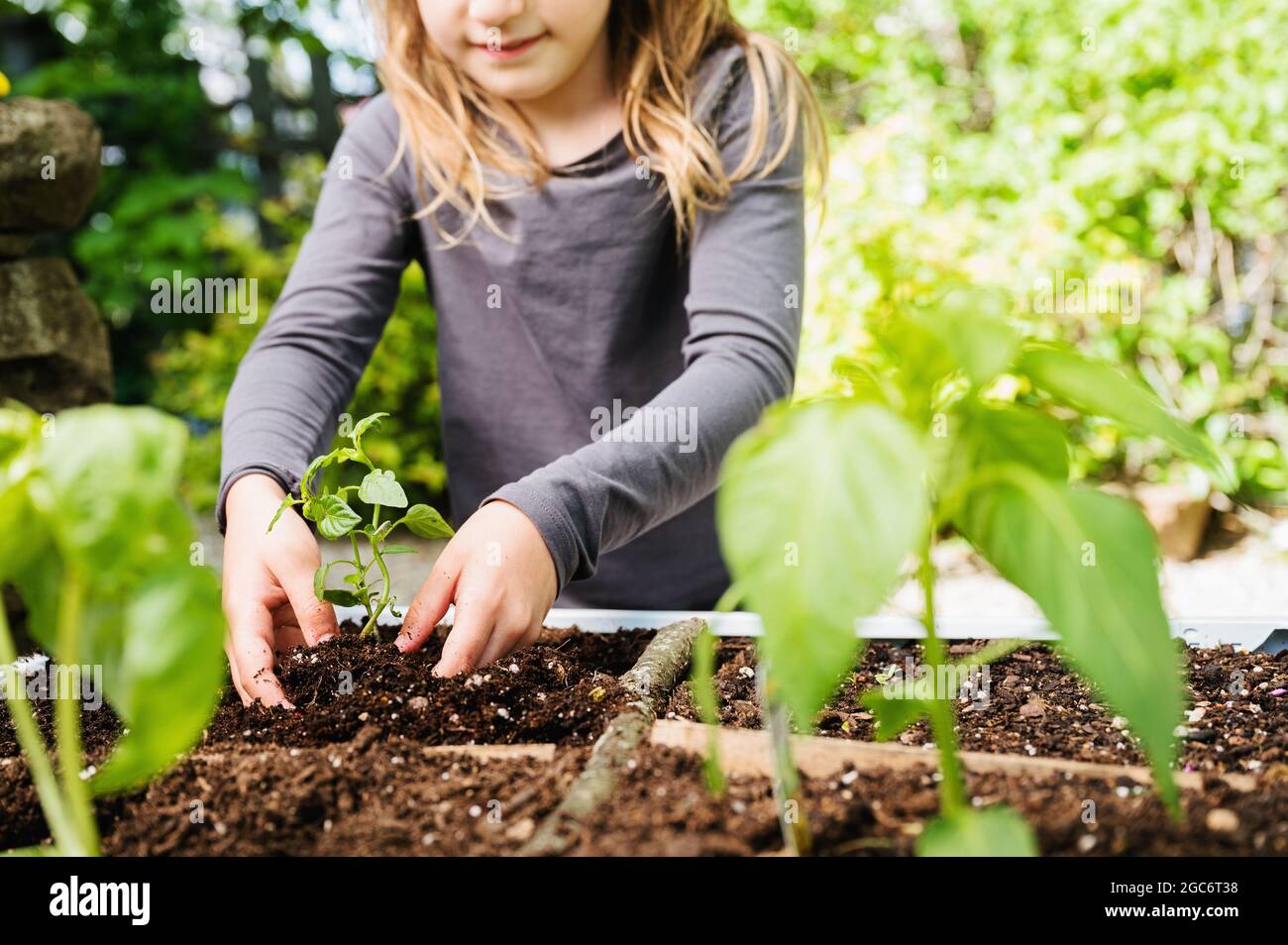 Smiling girl planting seedling Stock Photo - Alamy
