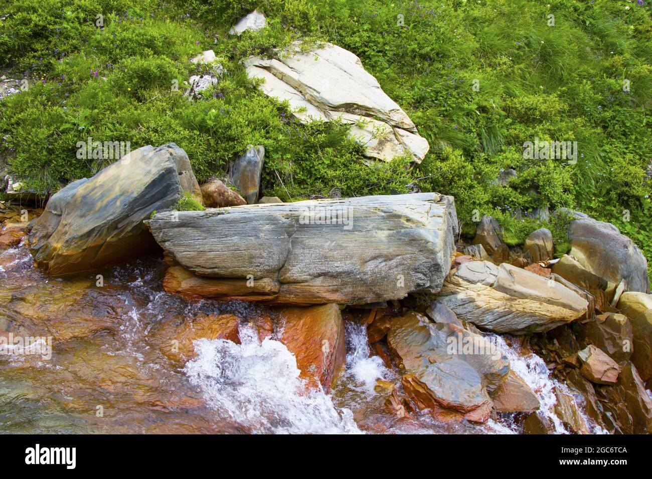 Closeup shot of rocks and stones near the river in Georgia Stock Photo ...