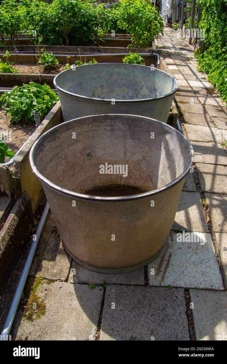 Round metal trough for water in a abandoned greenery Stock Photo - Alamy