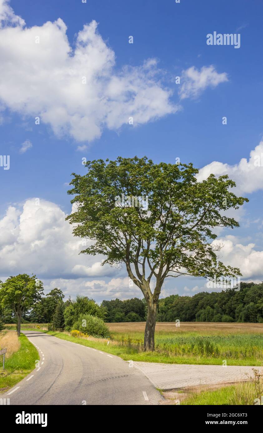 Balloo drenthe hi-res stock photography and images - Alamy