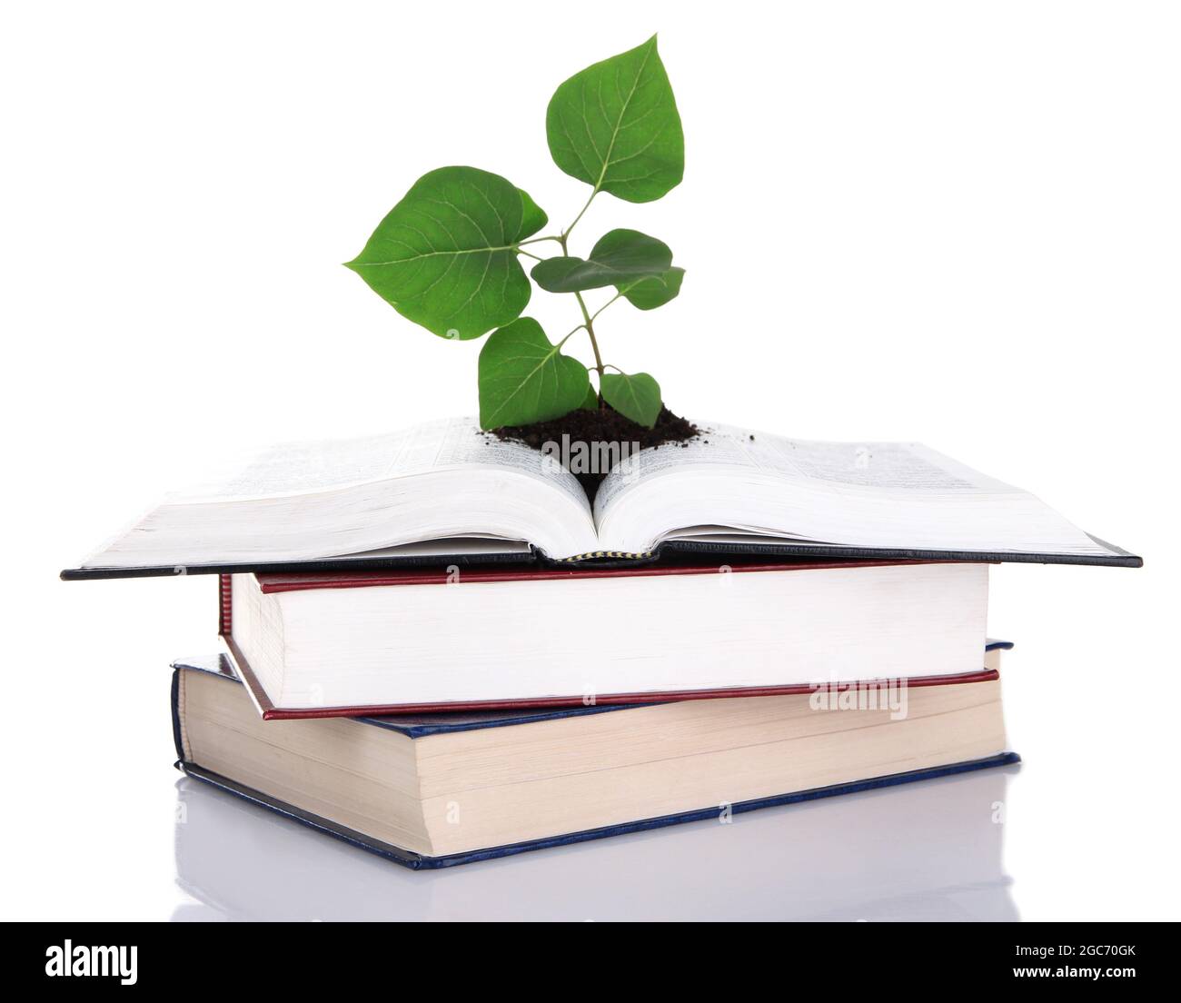 Books with plant isolated on white Stock Photo - Alamy