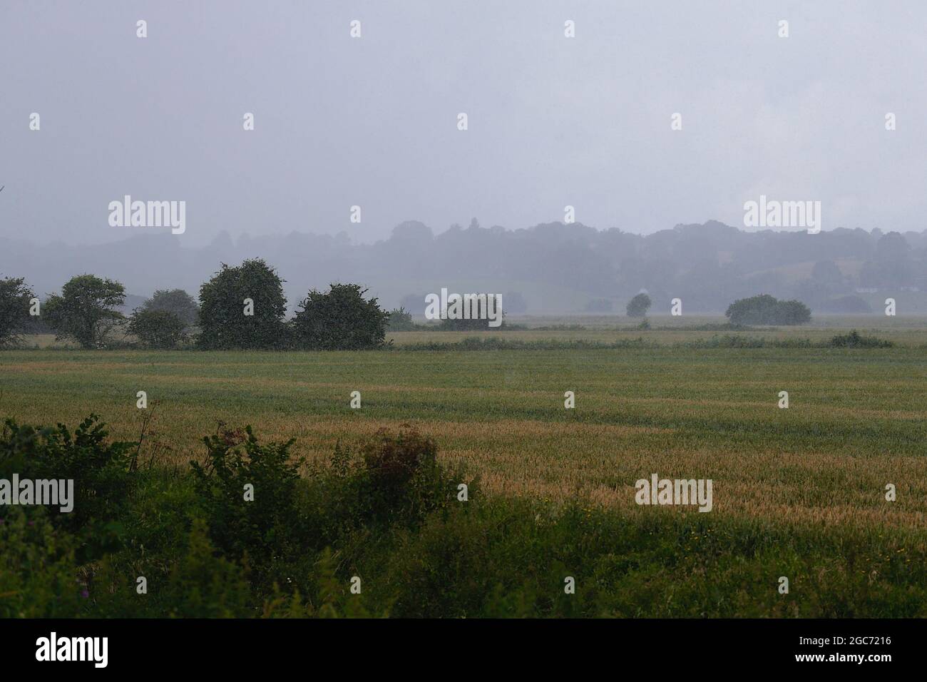 Appledore, Kent, UK. 07 Aug, 2021. UK Weather: Heavy showers over the ...